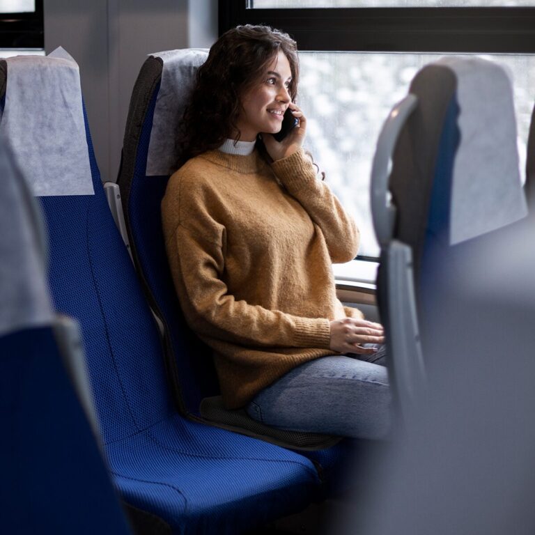 Portable Foldable Travel Seat Cushion | Comfilife